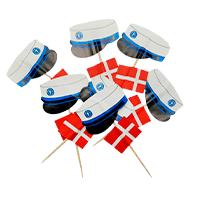 Studentergilde - Køb pynt til studenterfest på Temashop.dk