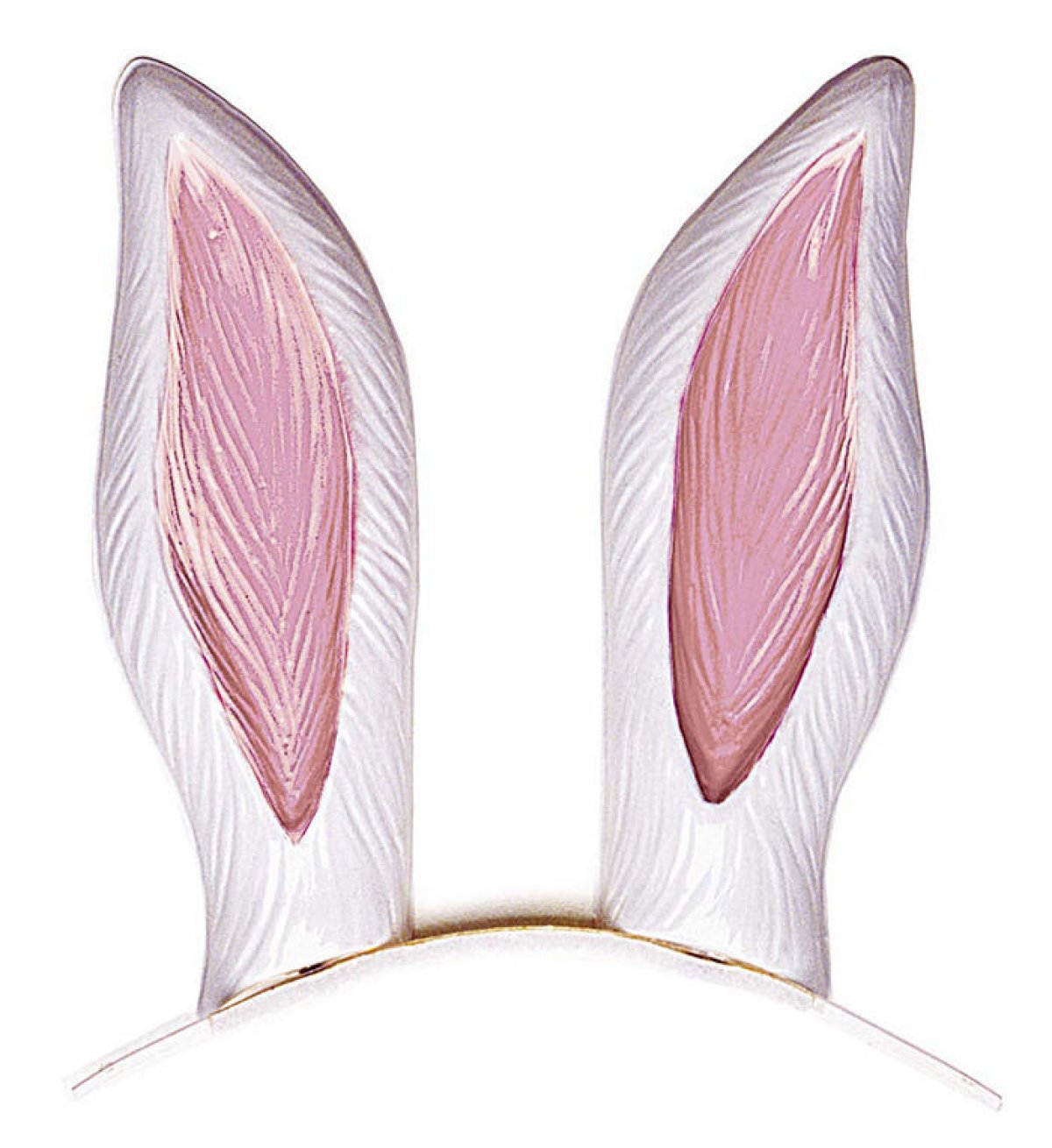 Kanin Ører til 35 kr. på Temashop.dk