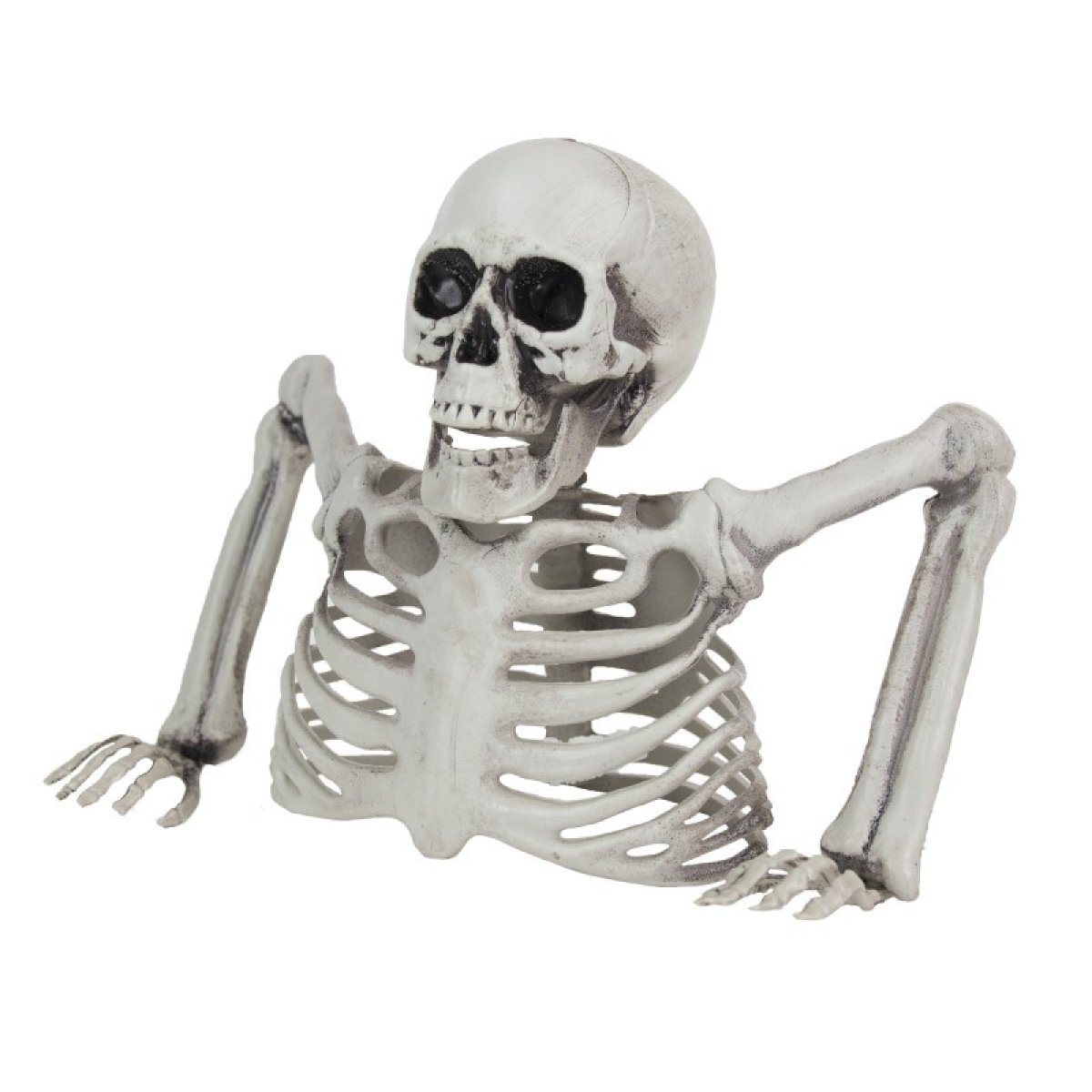 Skelet Overkrop til 79 kr. på Temashop.dk
