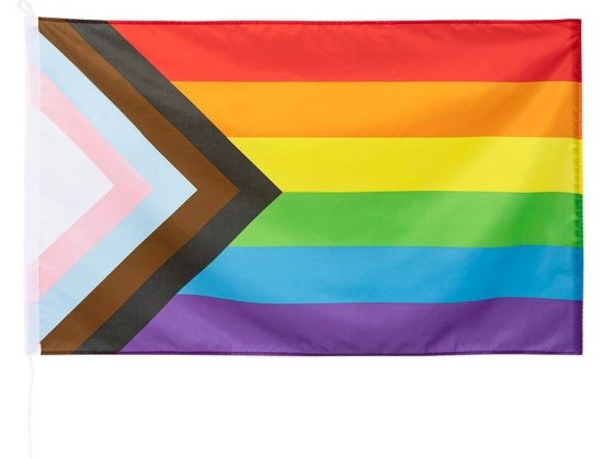 Progress Pride Hjerte Flag til 179 kr. på Temashop.dk