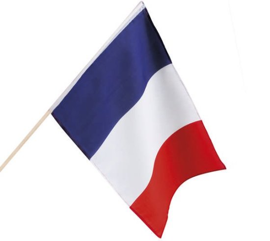Frankrig Vimpel Flagguirlande til 29 kr. på Temashop.dk