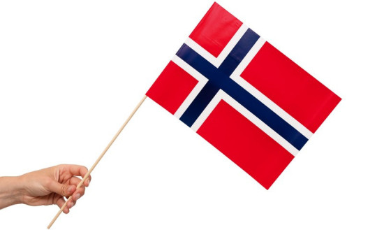 Norge Vimpel Flagguirlande til 29 kr. på Temashop.dk