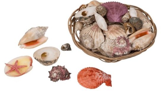 Musling Æsker til 35 kr. på Temashop.dk