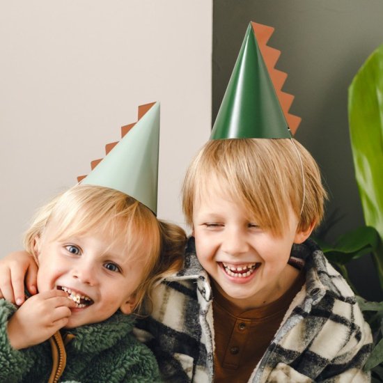 Fødselsdagshatte - Køb en fødselsdagshat på Temashop.dk