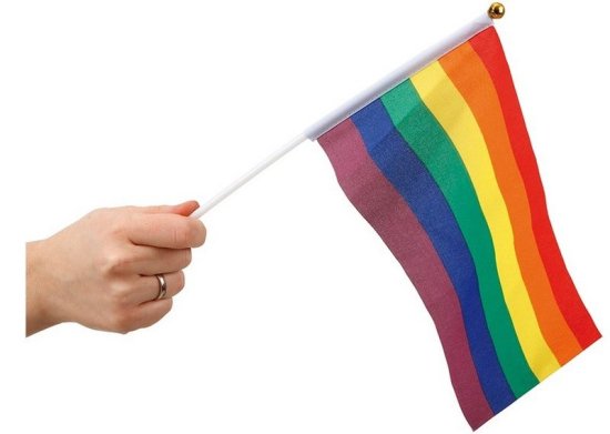 Progress Pride Flag til 59 kr. på Temashop.dk