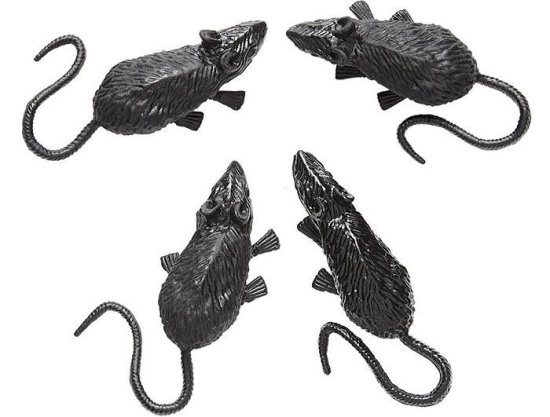 Små Slanger til 25 kr. på Temashop.dk