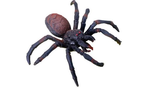 Edderkop Paptallerkener Guld/Sort til 49 kr. på Temashop.dk