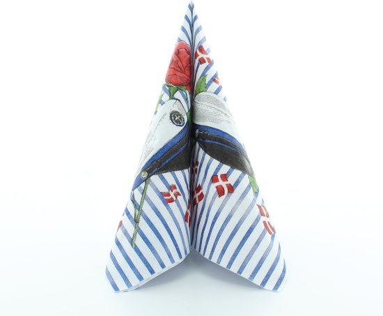 Studentergilde - Køb pynt til studenterfest på Temashop.dk