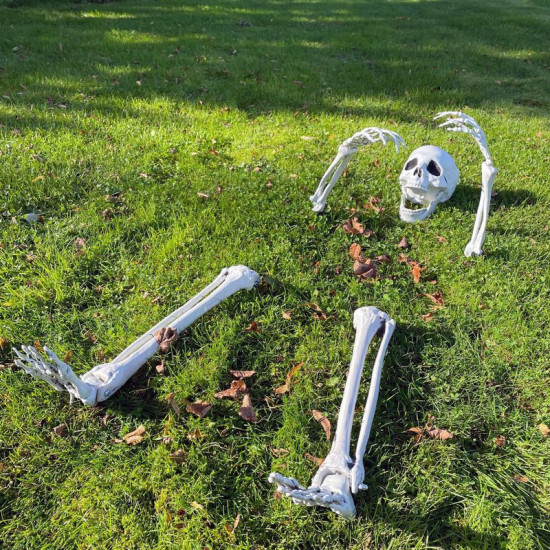 Halloween Pynt - Kæmpe udvalg i Dekoration på Temashop.dk